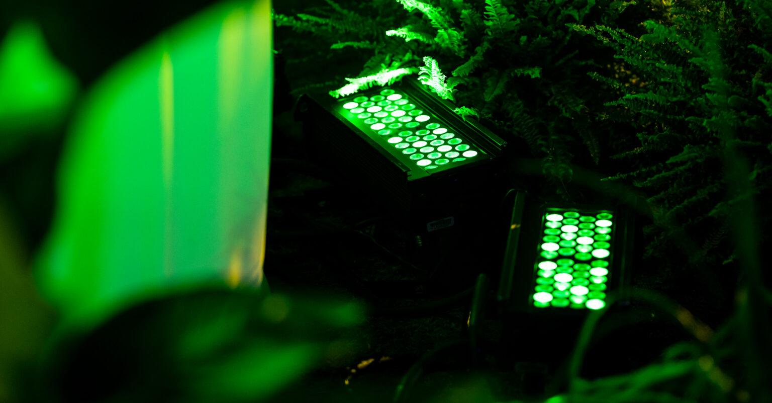 See how LED turns screentime into memorable experiences. - Freeman